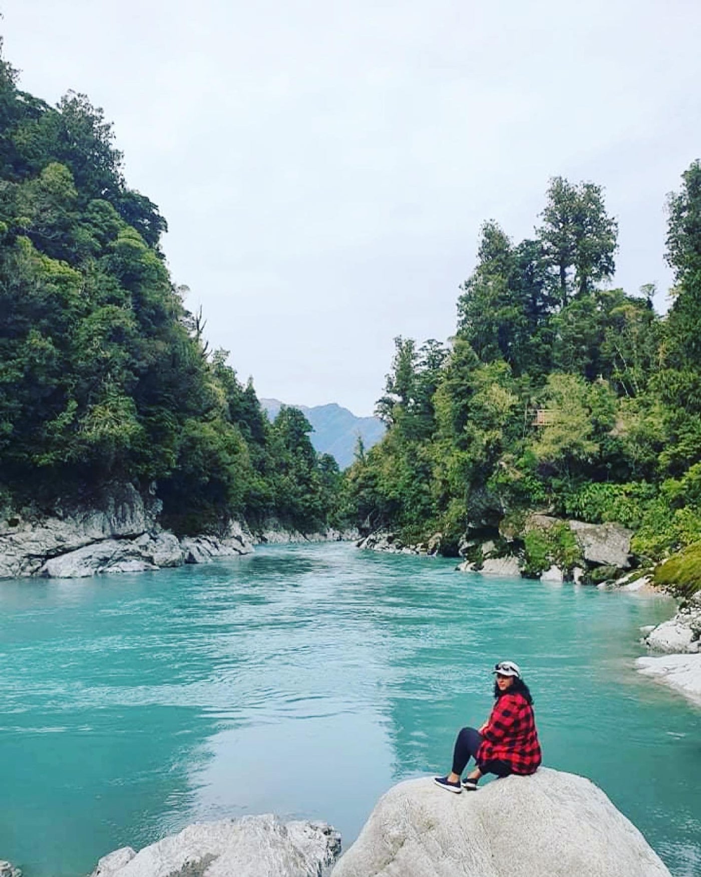 Discover our Wild Harvested Tea from New Zealand | Ti Ani Tea – Ti Ani ...