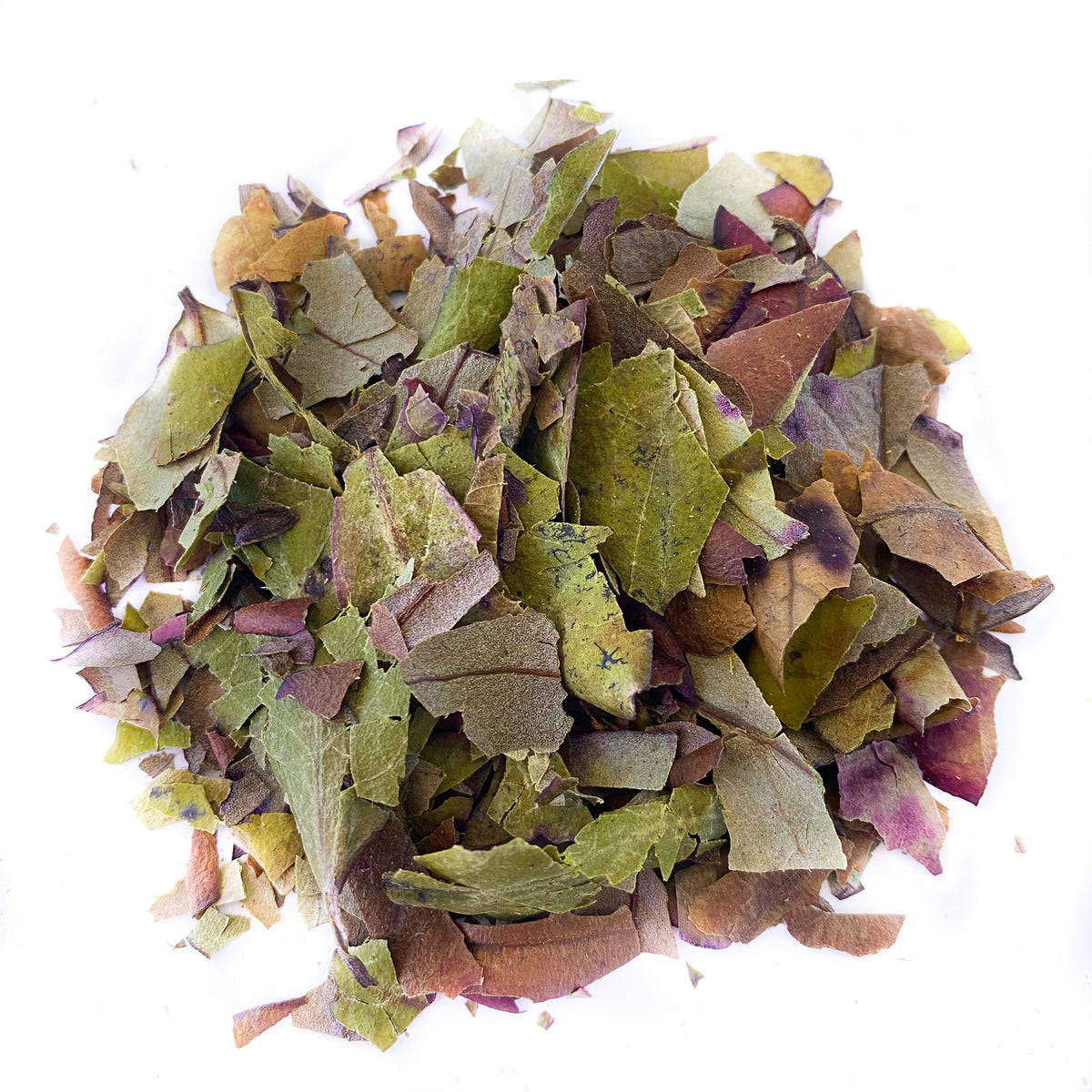 Mountain Horopito Tea - Wild Harvested in New Zealand | Tī Ani – Ti Ani ...