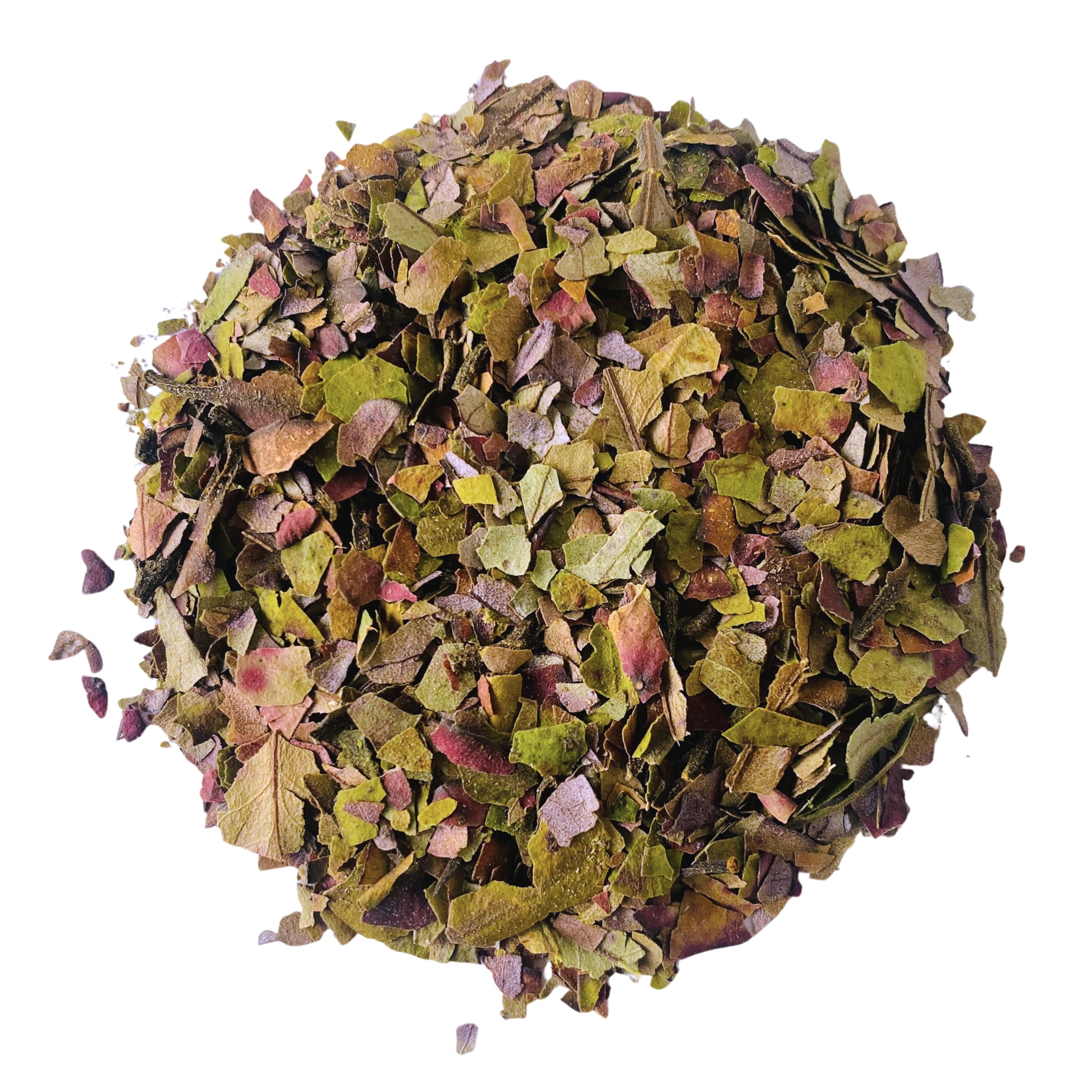 Kawakawa Tea Benefits, History & Brewing Guide - Ti Ani NZ – Ti Ani ...