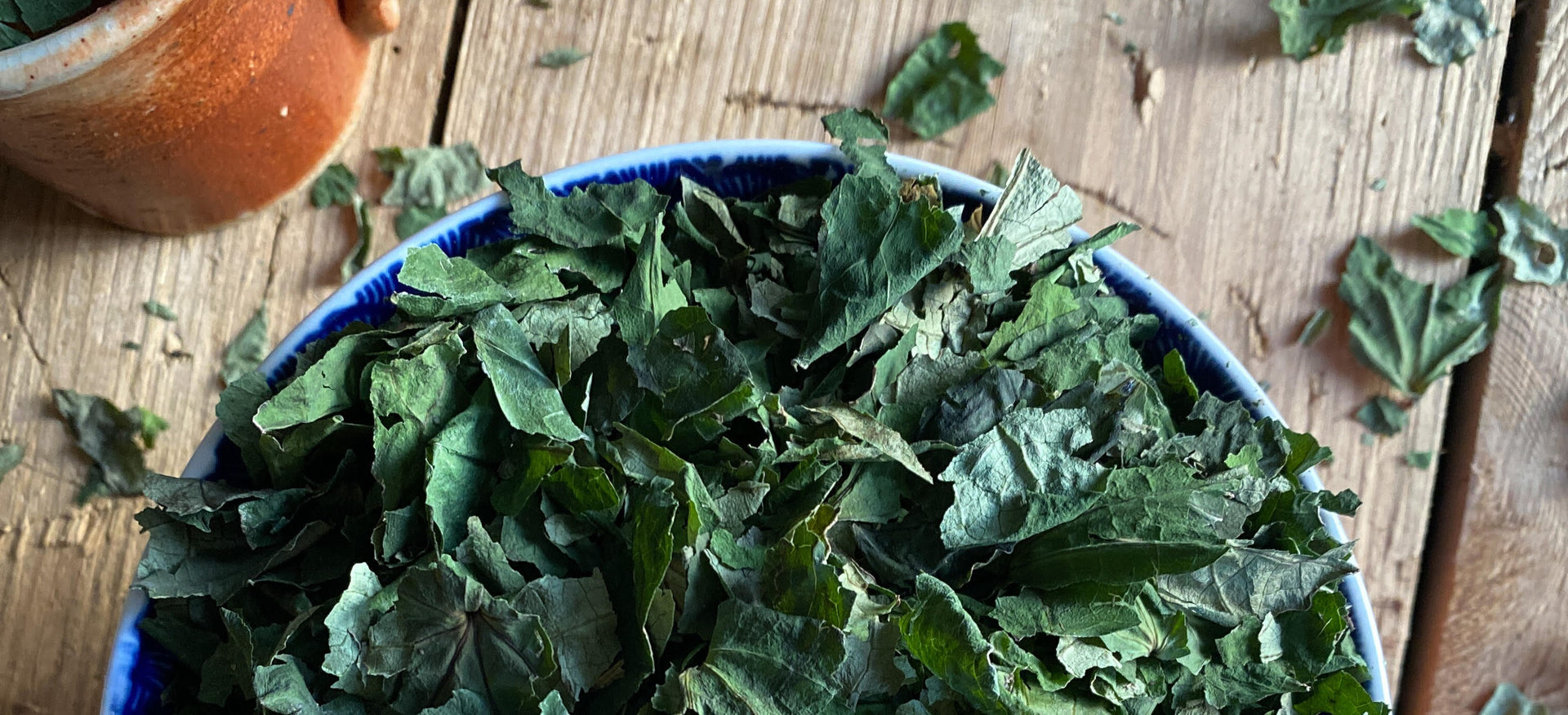 Discover our Wild Harvested Tea from New Zealand | Ti Ani Tea – Ti Ani ...